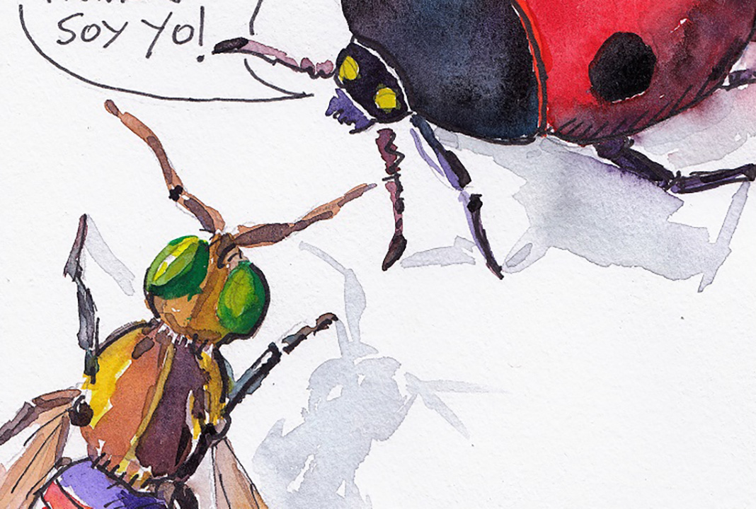 portada_insectario - ProProNews